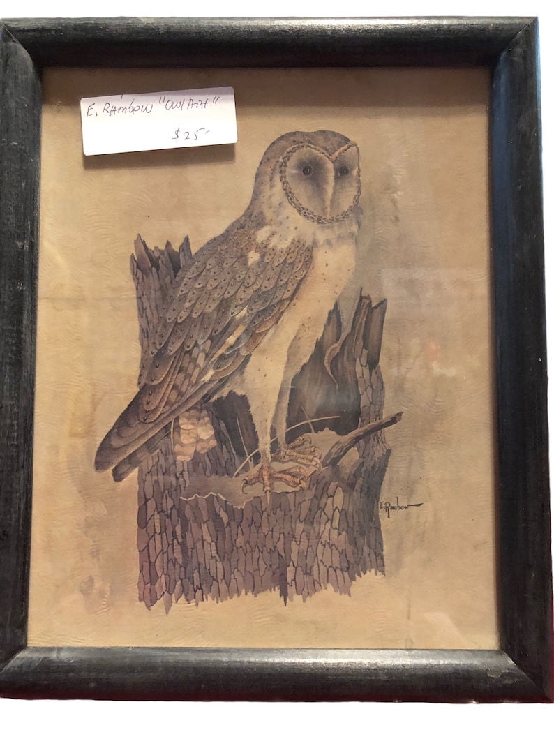Vintage Wise Old Owl Lithograph Print Signed E Rambow/ Beautiful Barn ...