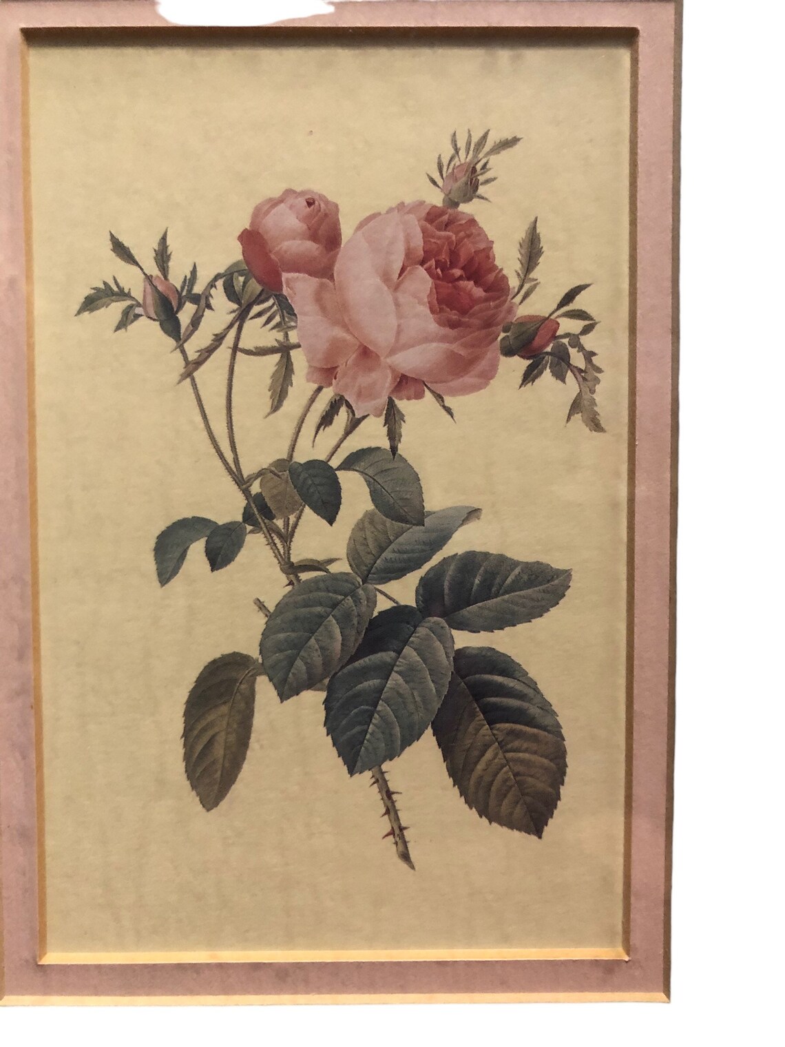 Art Print of Rose in Frame - Etsy