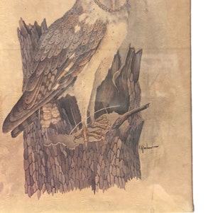 Vintage Wise Old Owl Lithograph Print Signed E Rambow/ Beautiful Barn ...