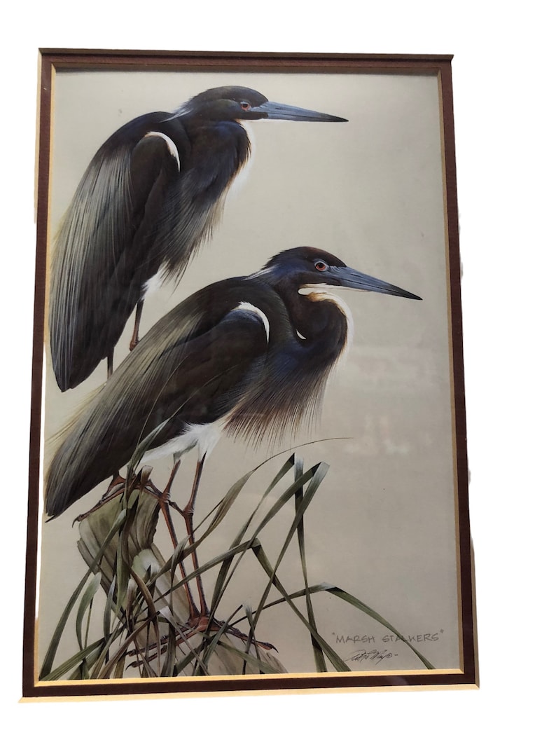 Art Lamay Signed Print - Marsh Stalkers Birds Print, Collectors Edition ...