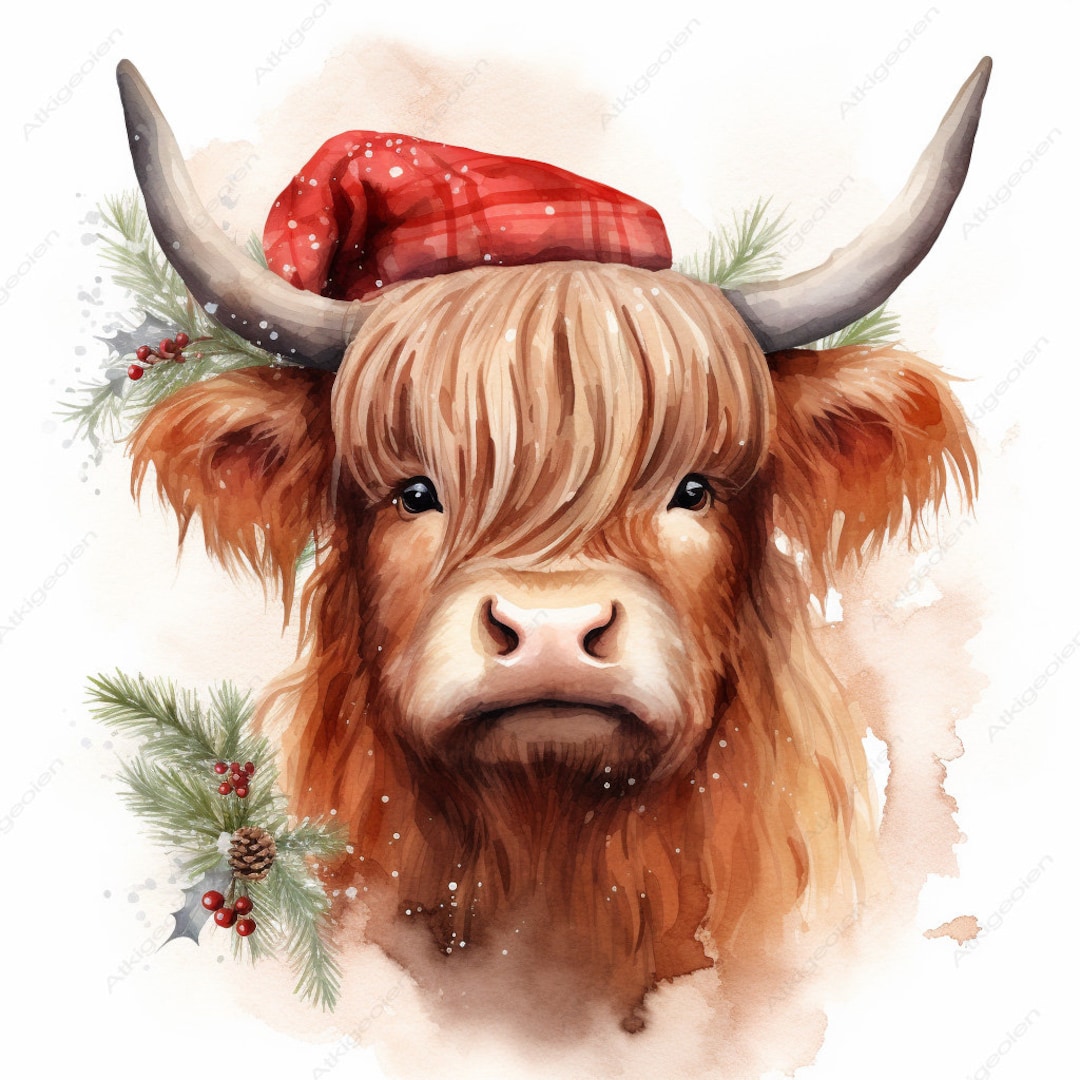 Watercolor Christmas Highland Cow Clipart PNG Clipart - Etsy Australia