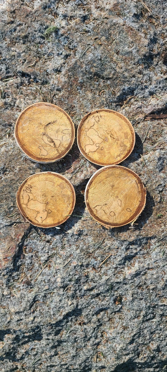 Spalted Birch Slices - Etsy