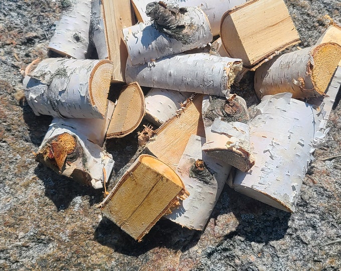 Birch Logs - Etsy