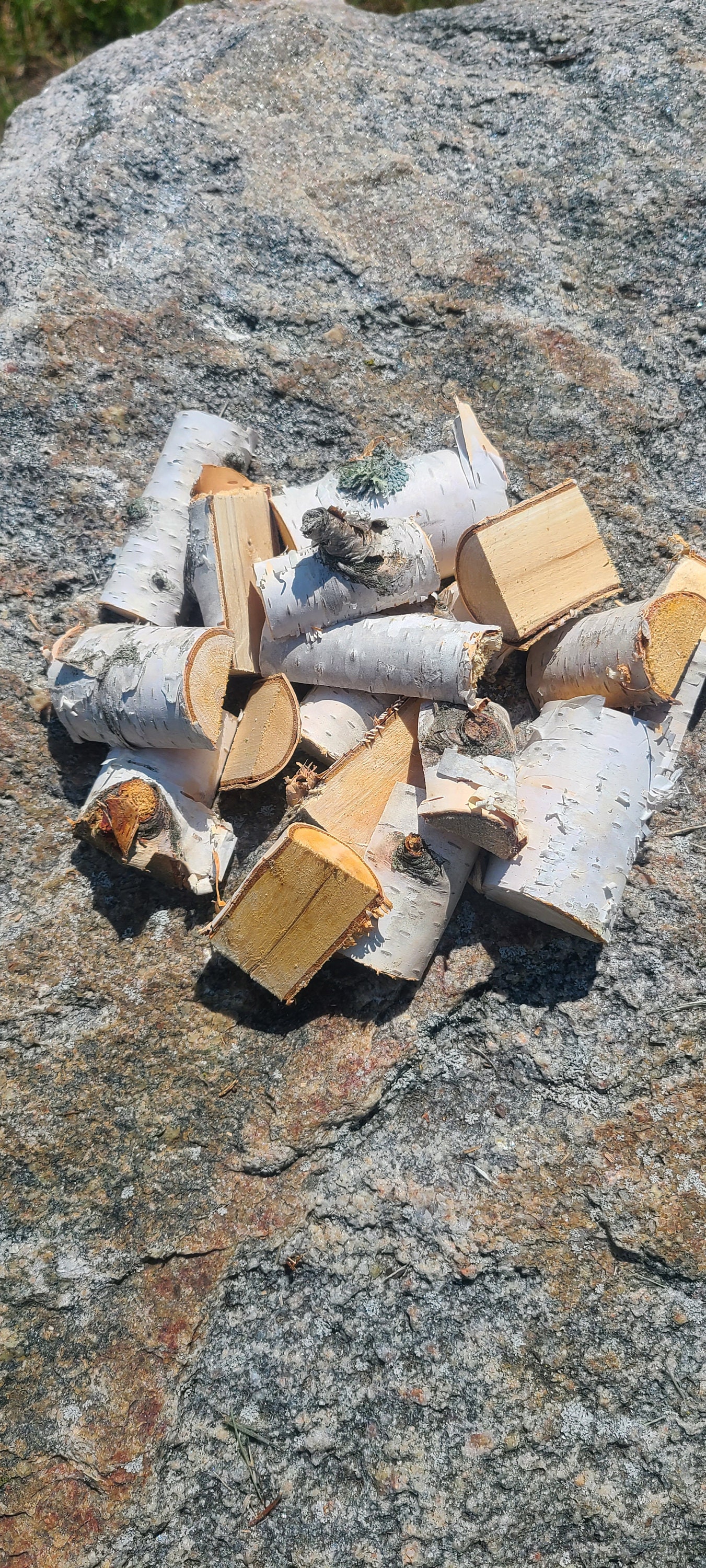 Miniature Split Birch Logs - Etsy