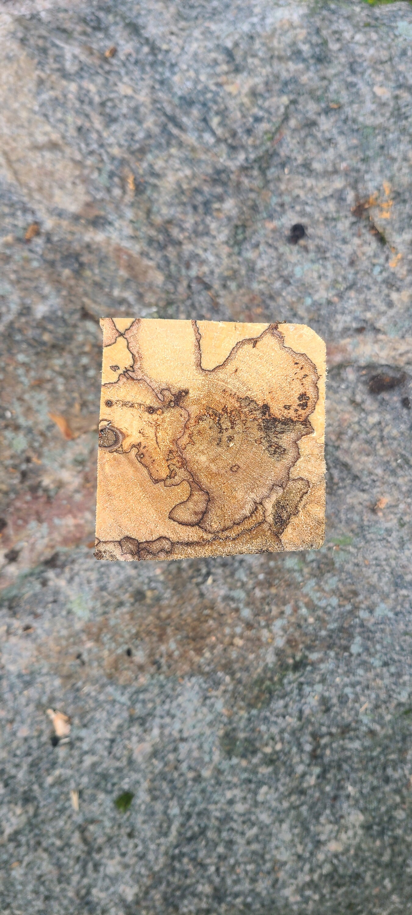 Spalted Birch Cube - Etsy