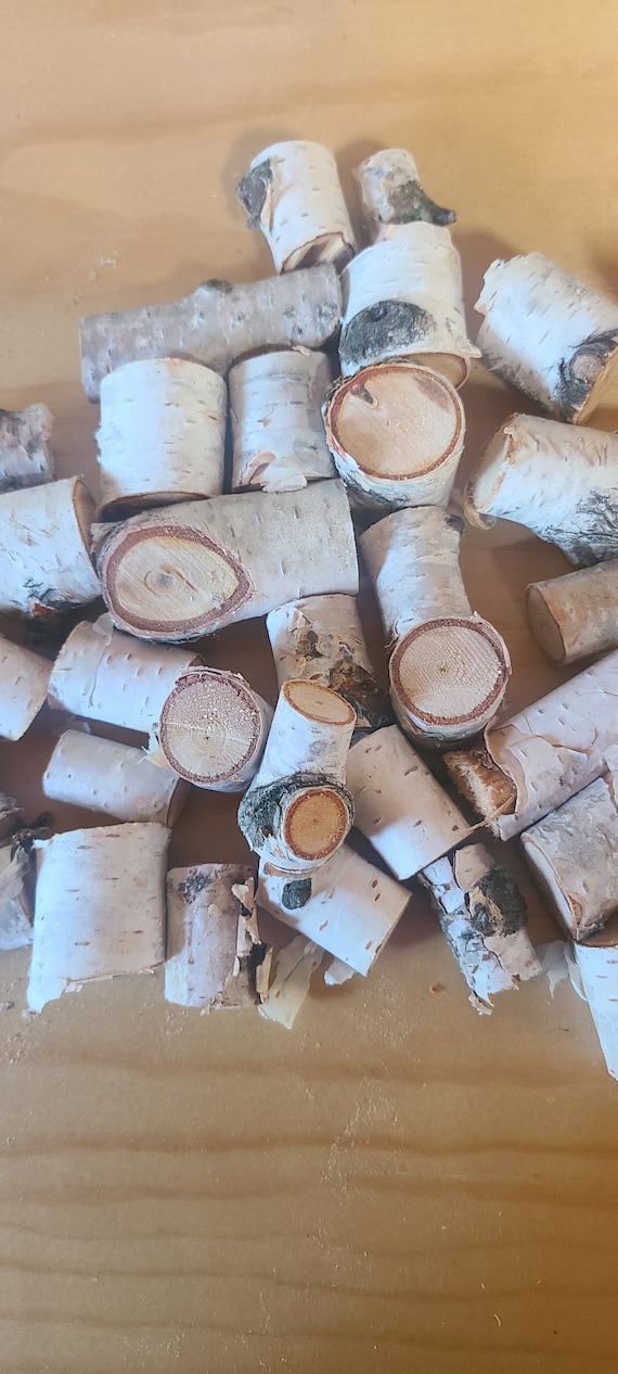 Mini Birch Logs - Etsy