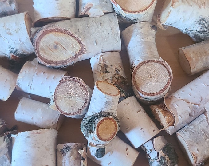 Birch Sticks - Etsy