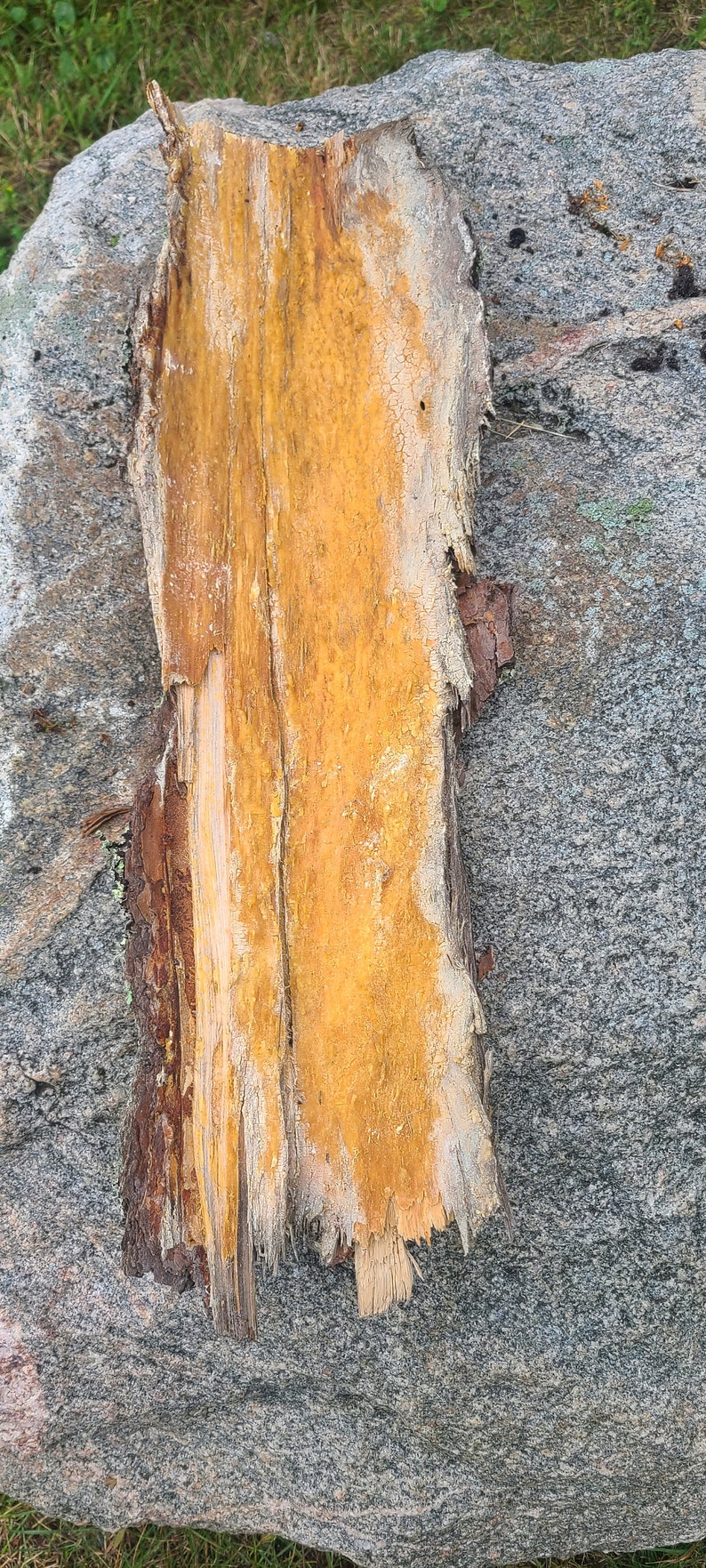 Pine Bark Slab - Etsy