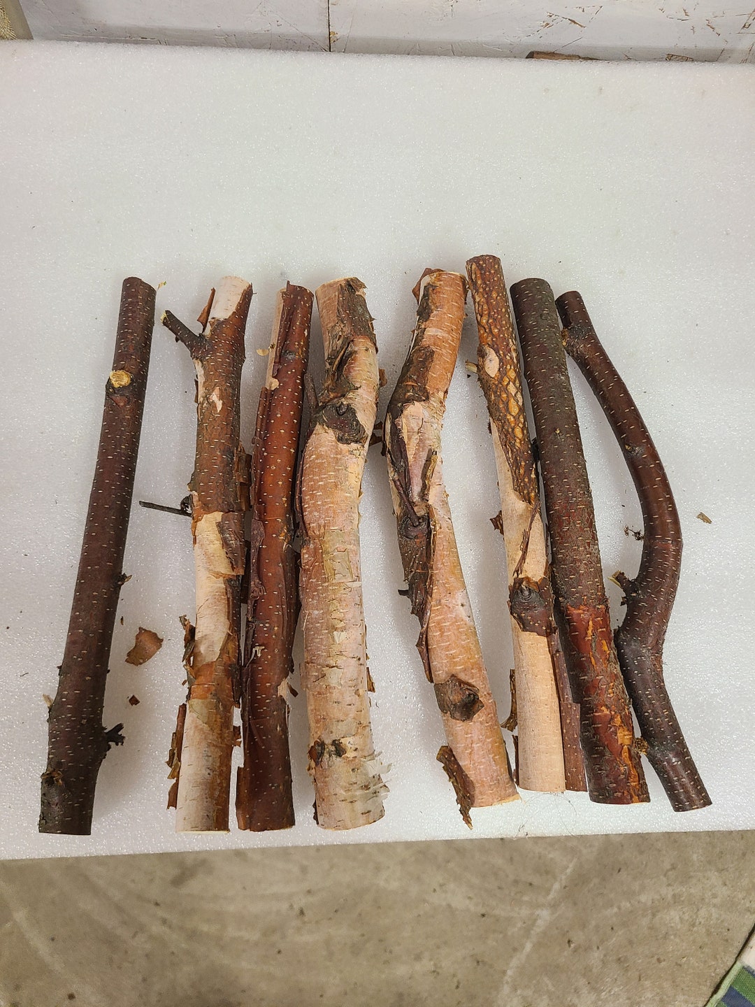 Birch Sticks - Etsy