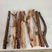 Birch Sticks - Etsy