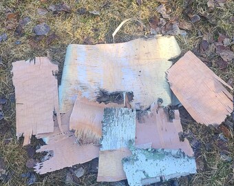 Birch Bark Cards - Etsy