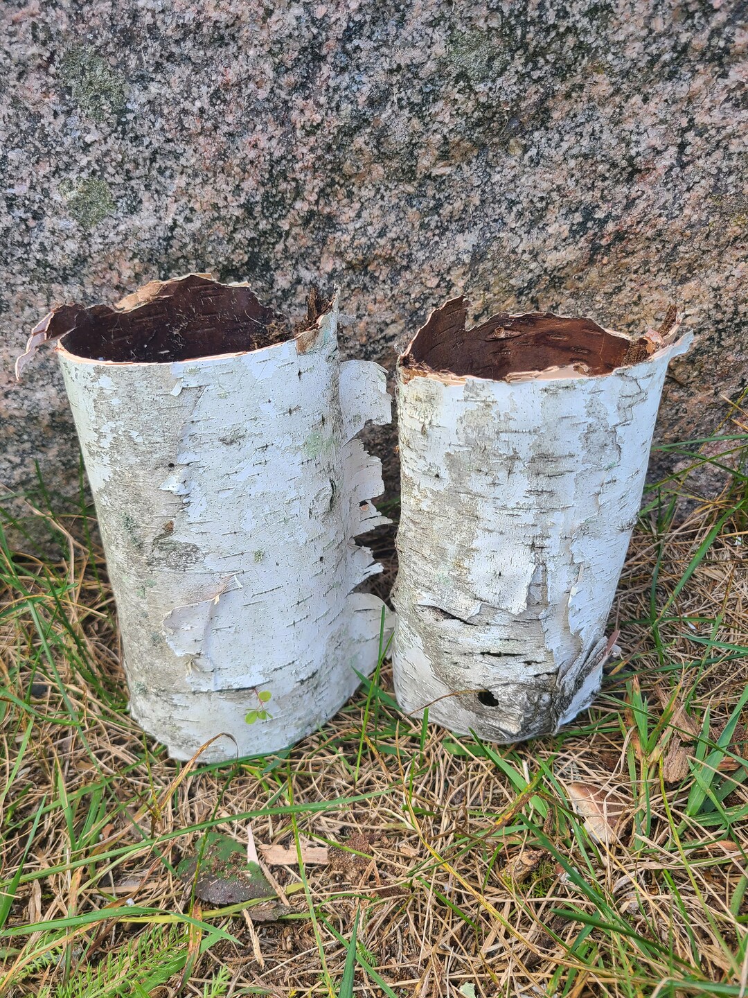 Birch Tubes - Etsy