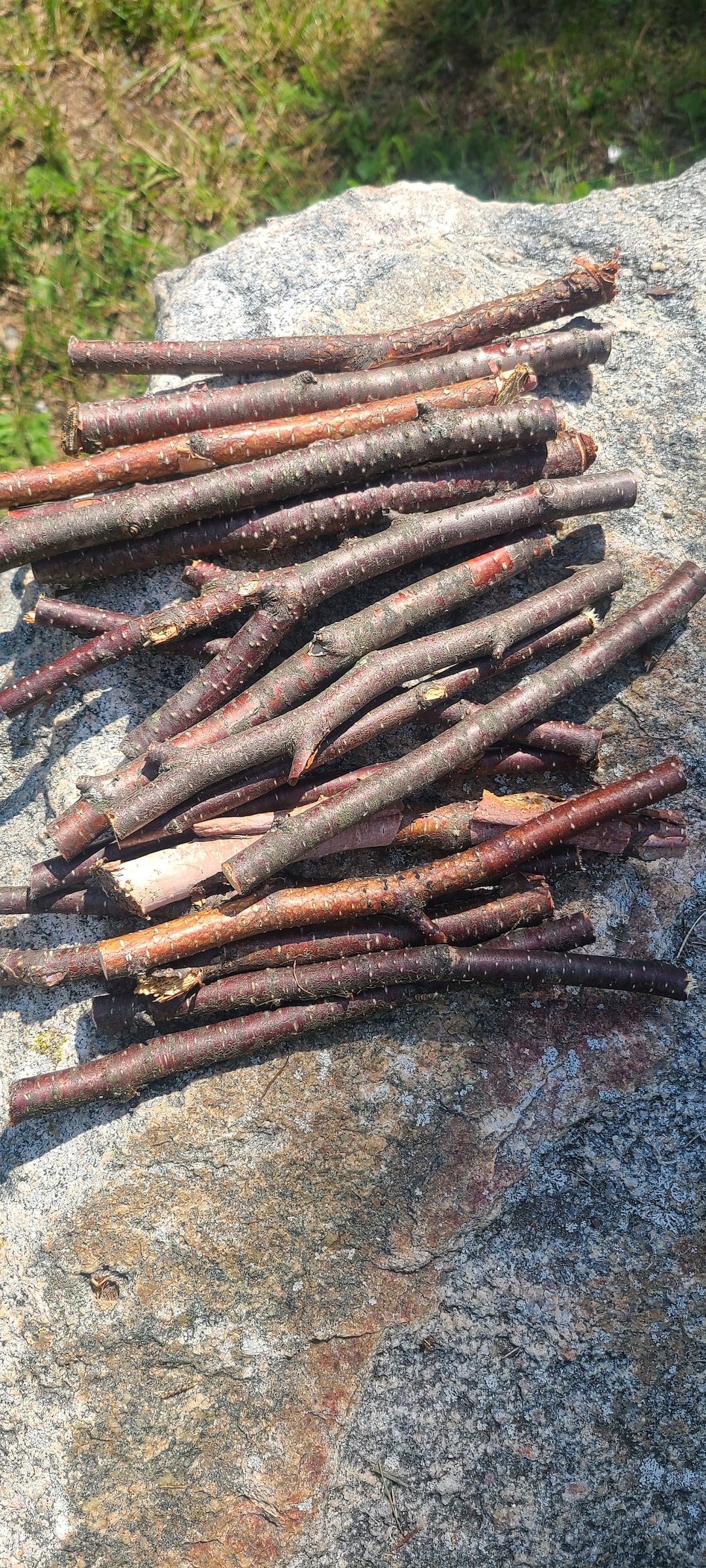 Birch Sticks - Etsy