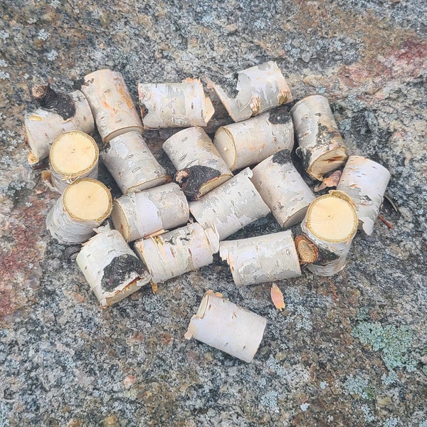 White Birch Logs - Etsy