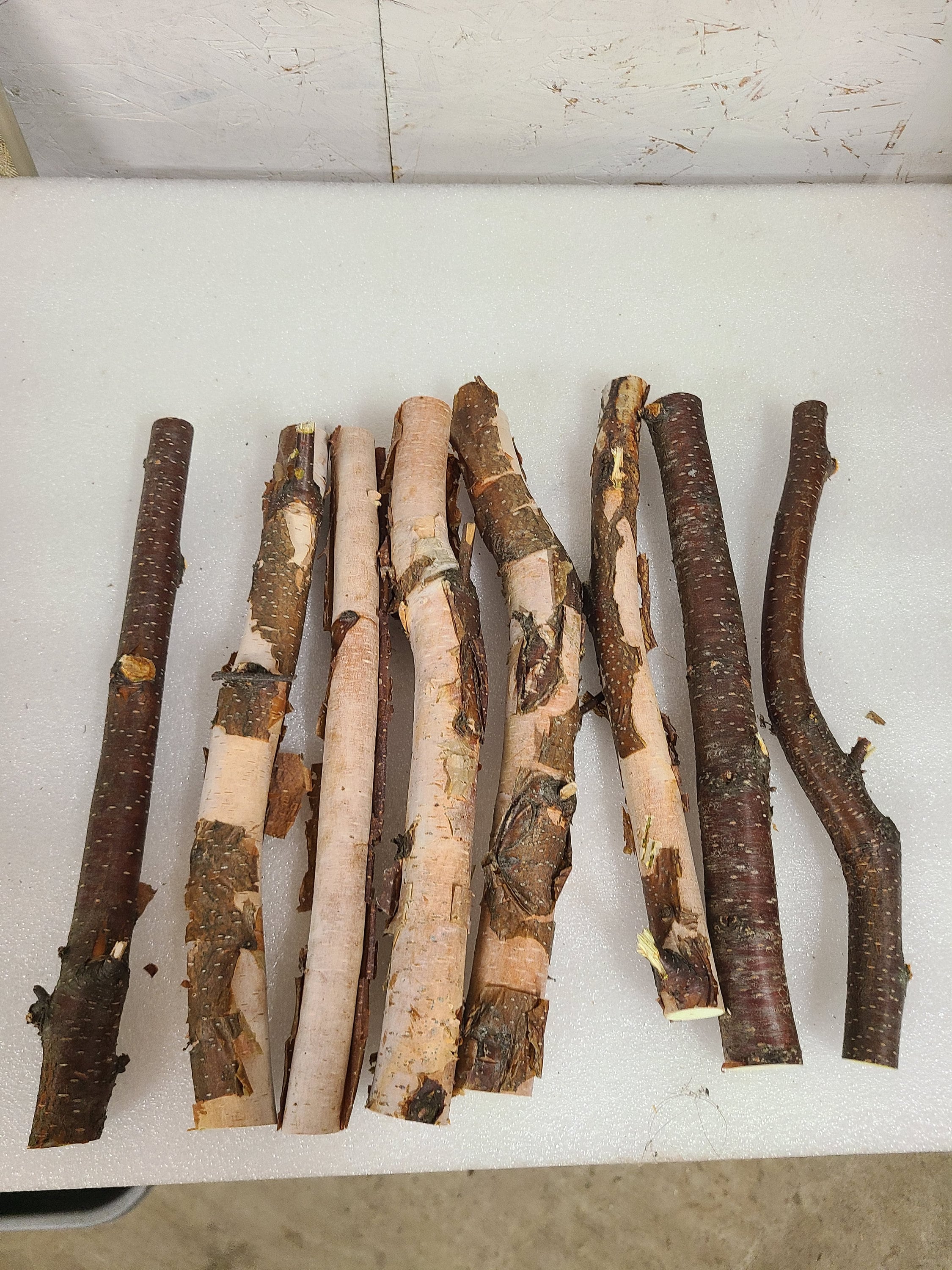 Birch Sticks - Etsy