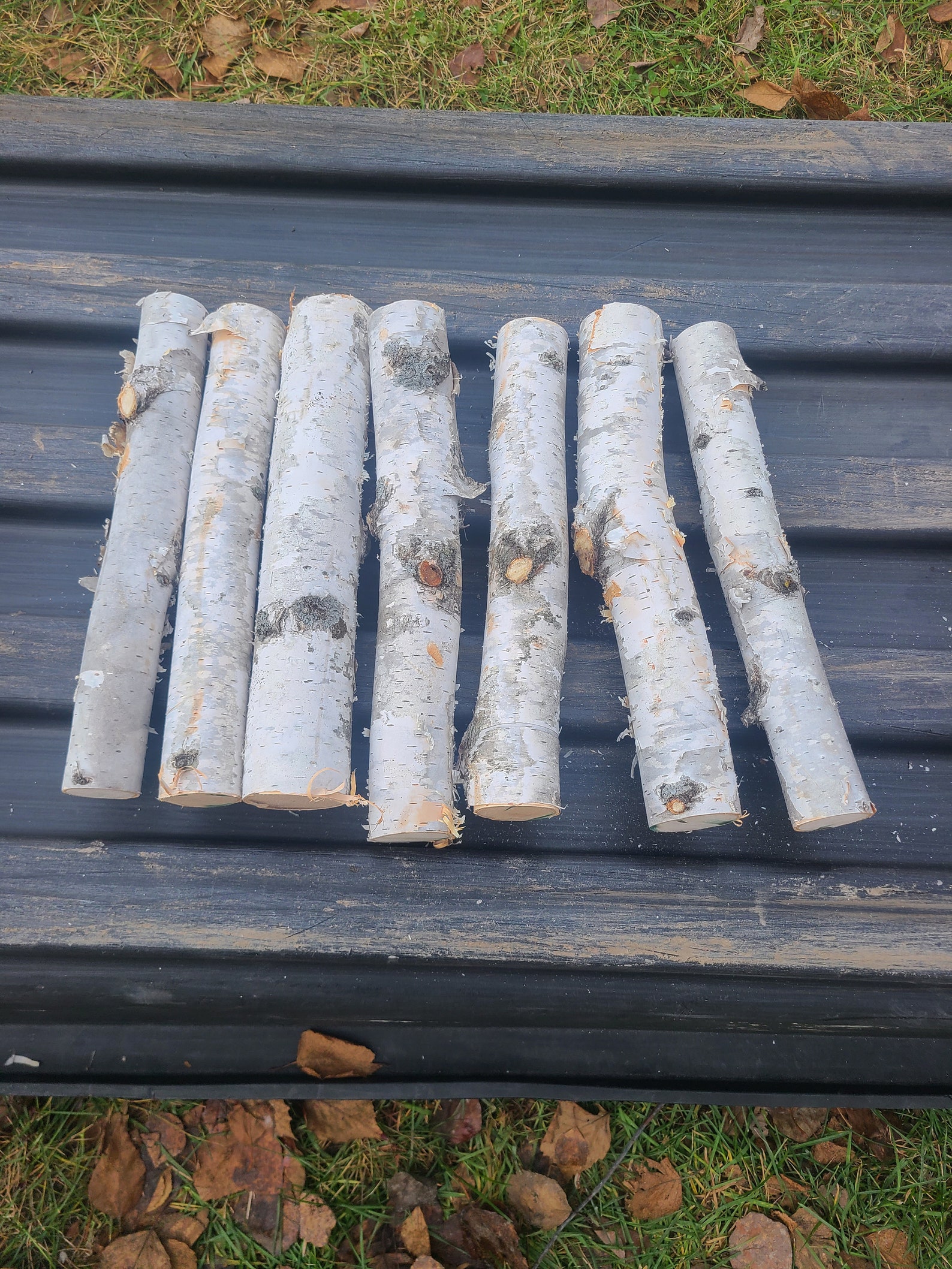 Birch Logs - Etsy