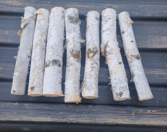 Miniature Split Birch Logs - Etsy