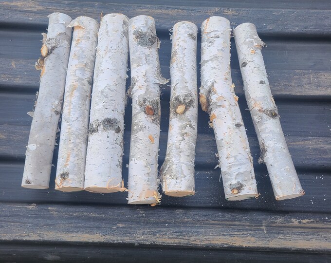 Birch Sticks - Etsy