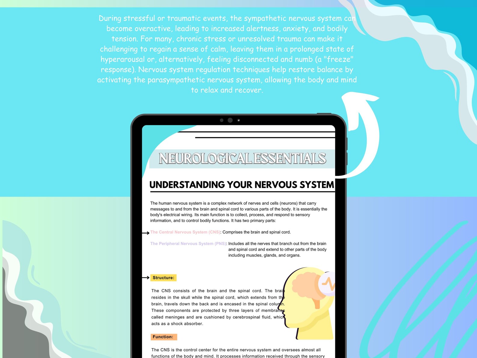 Nervous System Regulation Workbook, Ladder Vagus Vagal Nerve Therapy ...