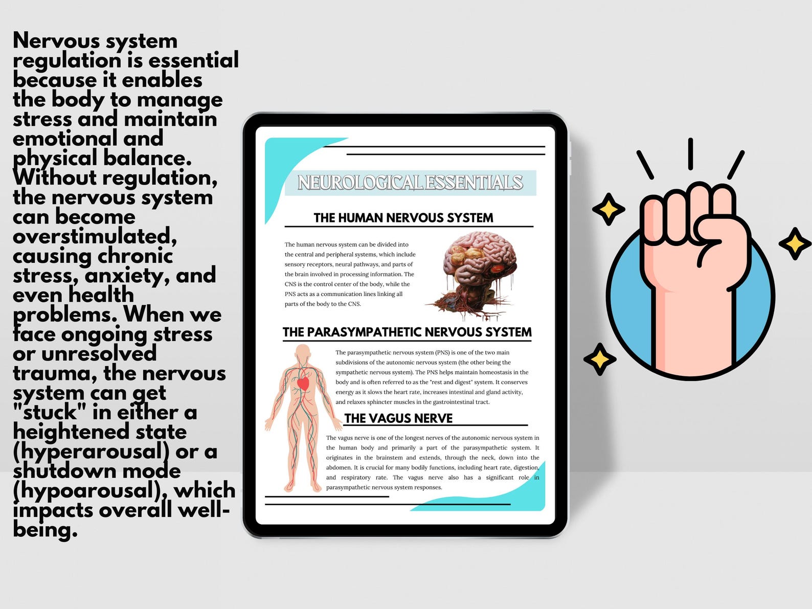 Nervous System Regulation Workbook, Ladder Vagus Vagal Nerve Therapy ...