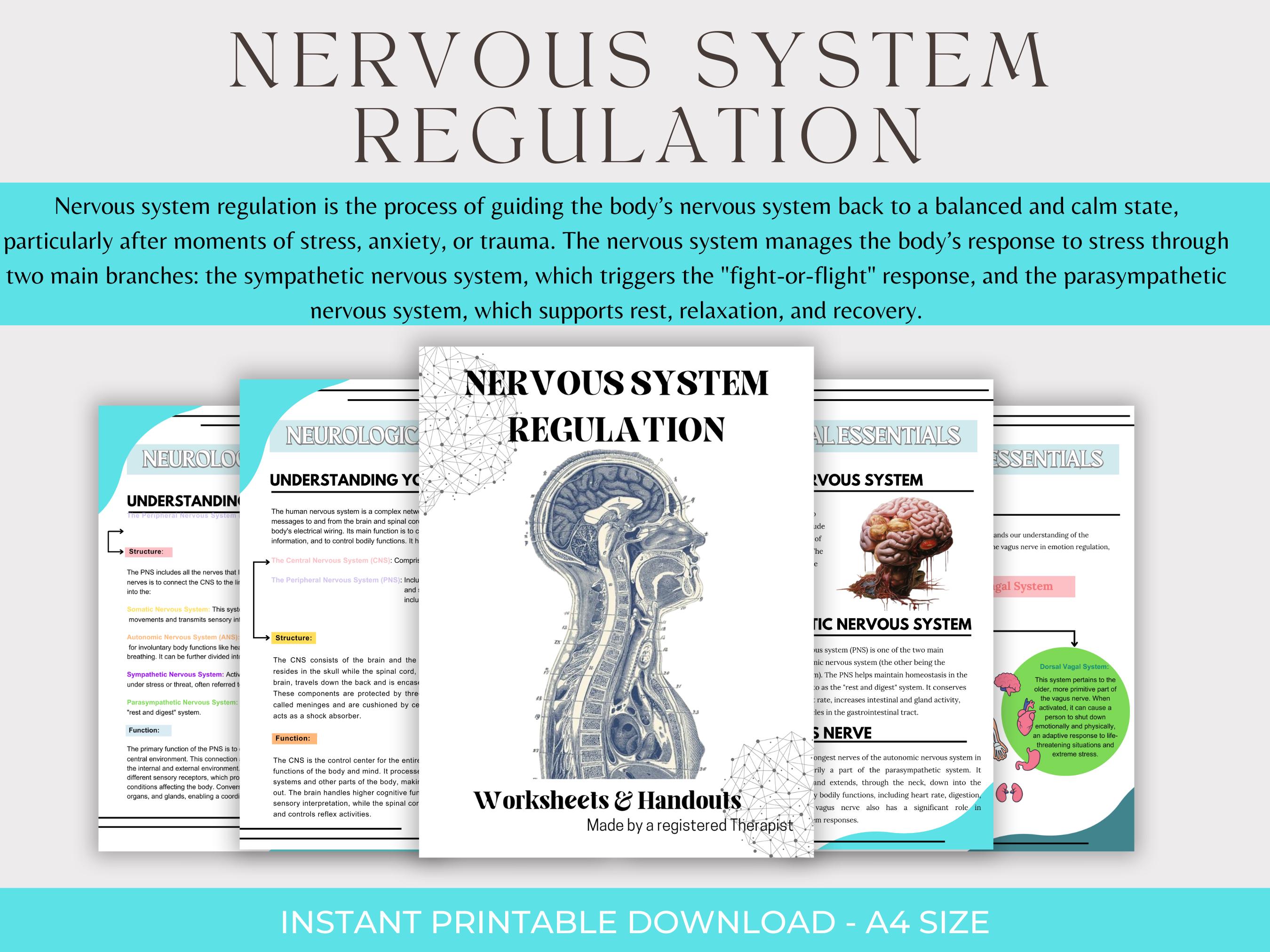 Nervous System Regulation Workbook, Ladder Vagus Vagal Nerve Therapy ...