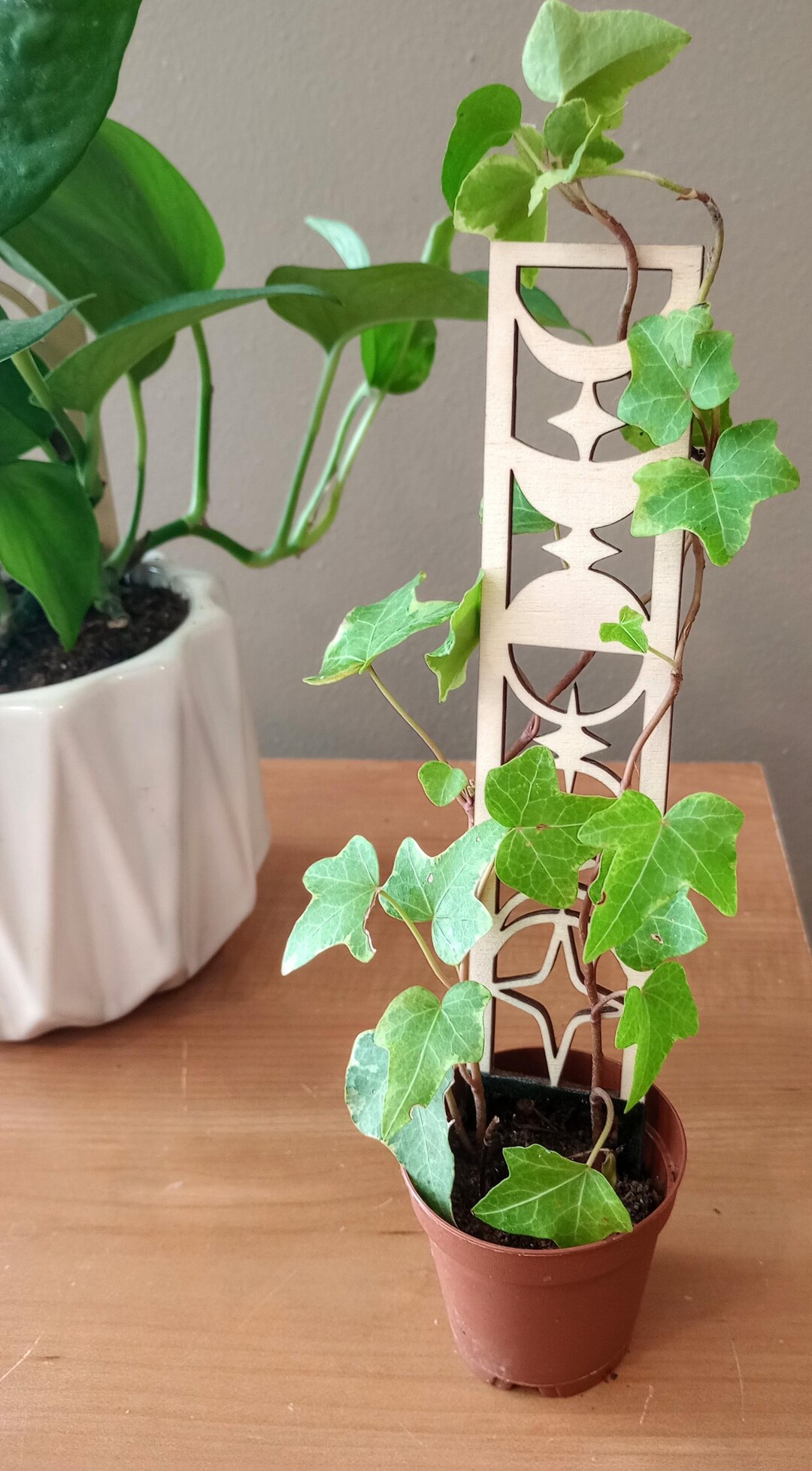 Moon Phases Plant Trellis, Vining Plant Trellis, Wood, Varied Sizes - Etsy