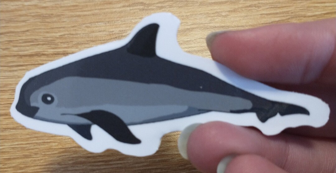 Endangered Vaquita Die Cut Sticker - Etsy
