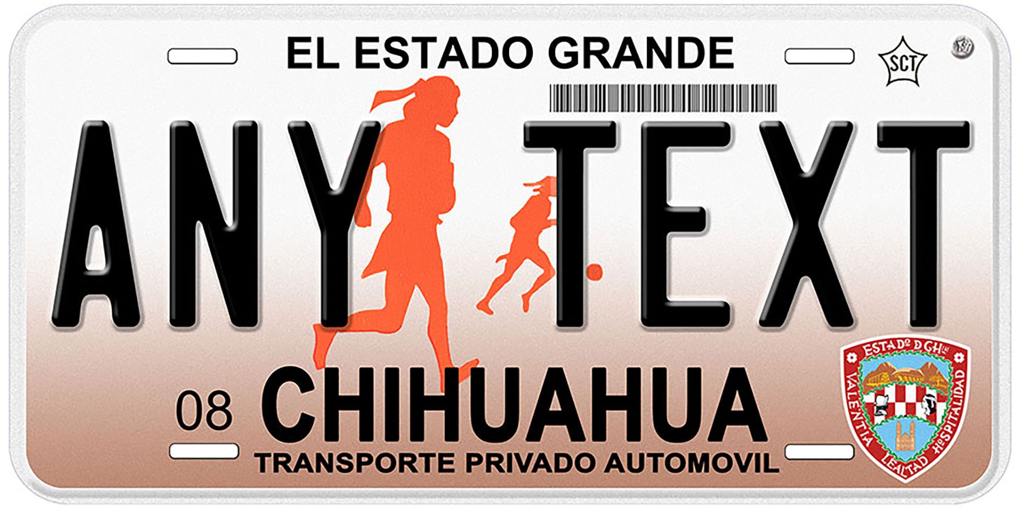 Chihuahua Personalized Car Auto Mexico License Plates Any Text - Etsy
