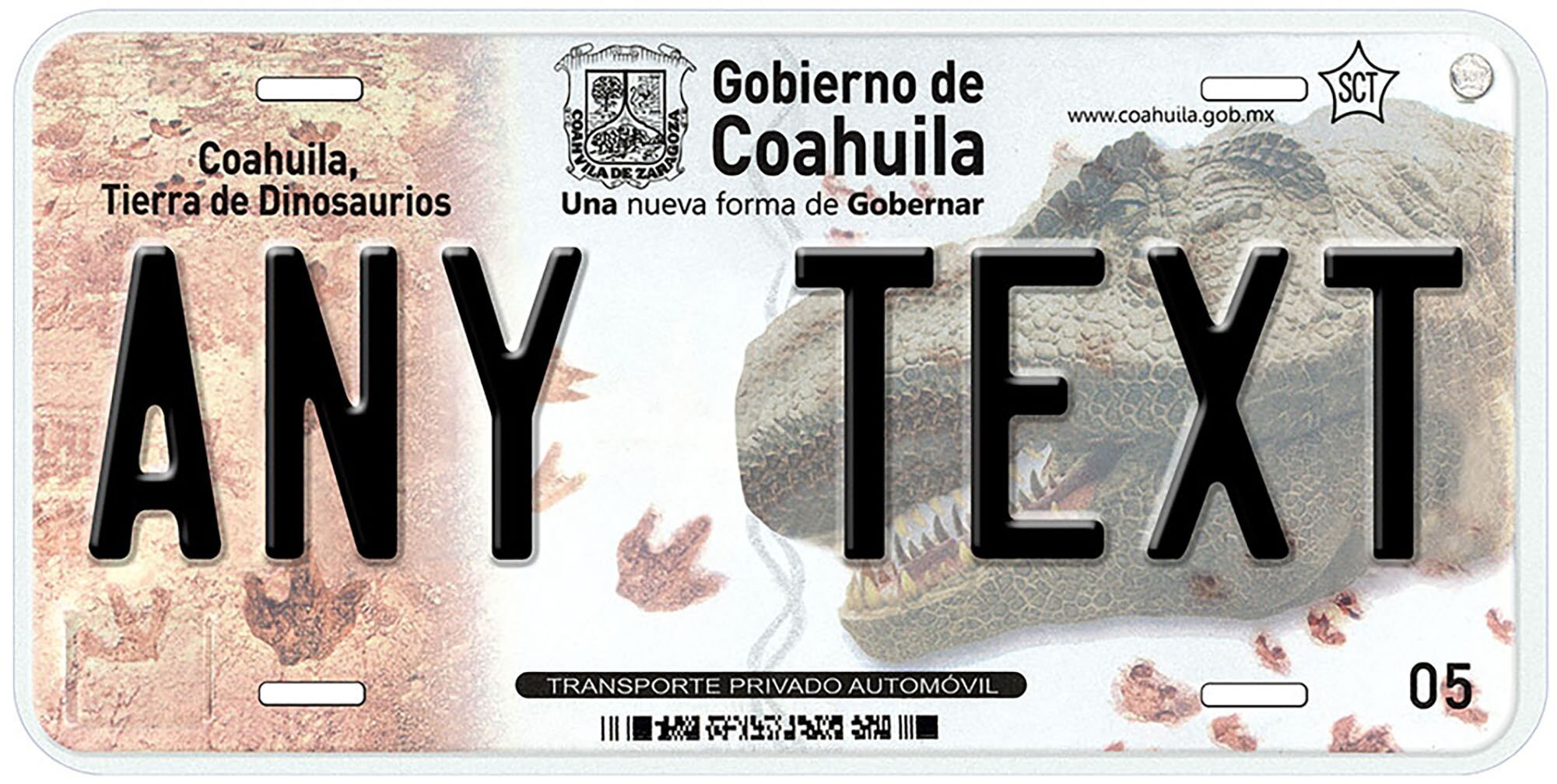 Coahuila Personalized Car Auto Mexico License Plates Any Text - Etsy