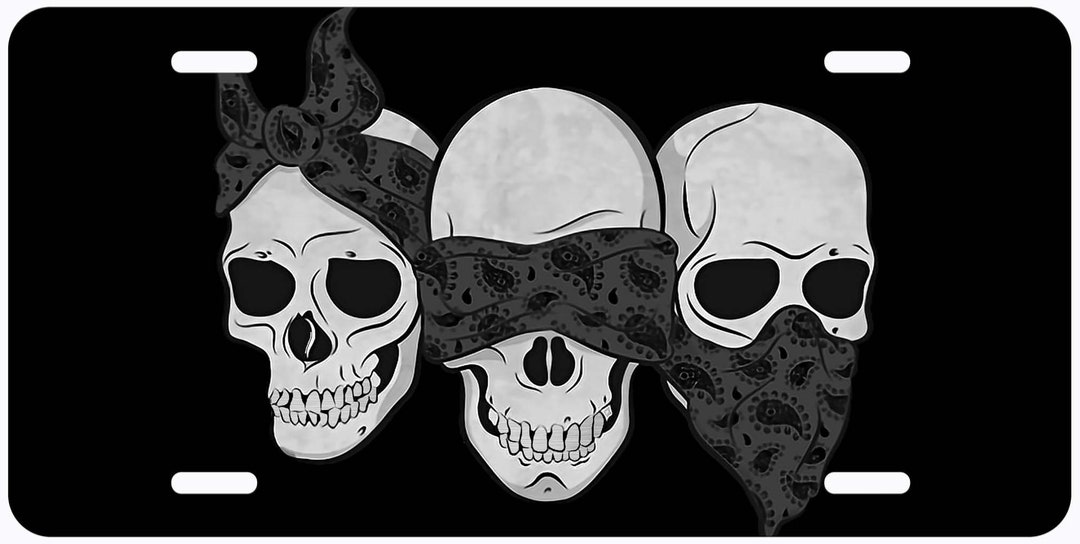 Wise Monkey Skull Bandit Car Size Novelty Auto License Plates - Etsy
