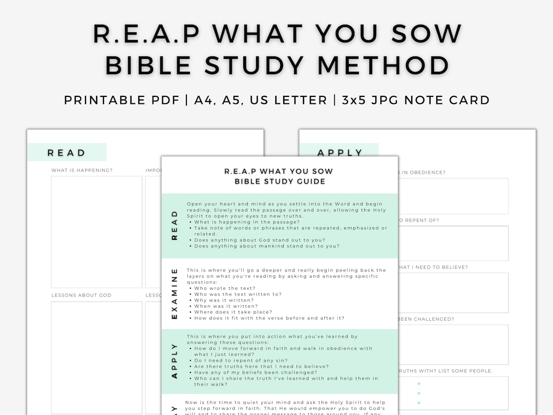 REAP What You Sow Printable Bible Study Method, Bible Study Guide ...