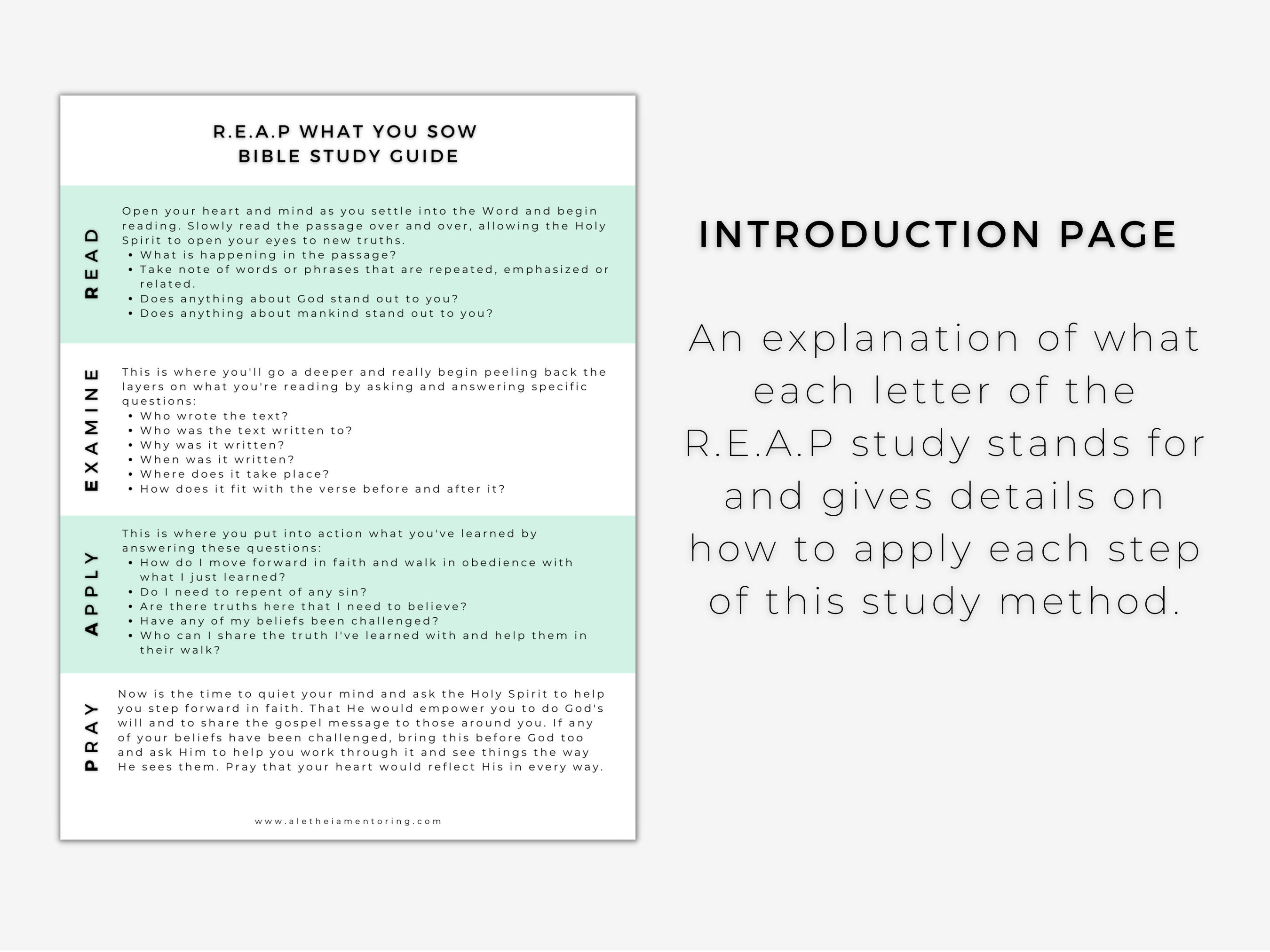 REAP What You Sow Printable Bible Study Method Bible Study - Etsy Singapore