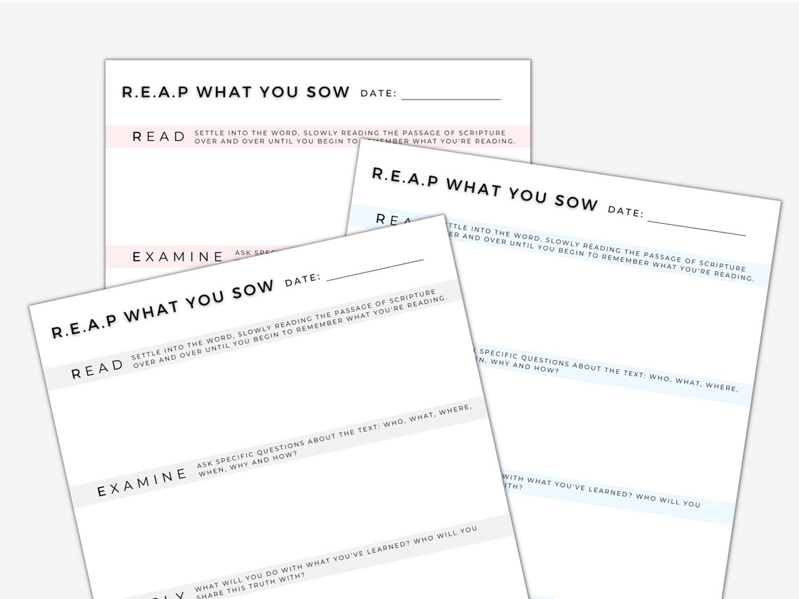 REAP What You Sow Printable Bible Study Worksheets, Daily Devotion ...