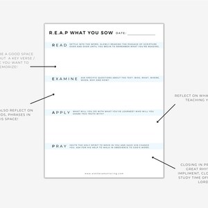 REAP What You Sow Printable Bible Study Worksheets, Daily Devotion ...