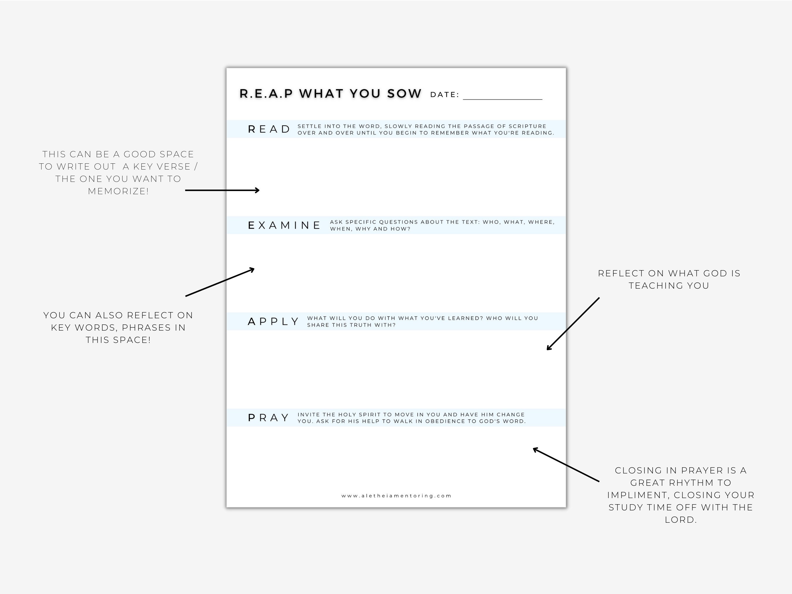 REAP What You Sow Printable Bible Study Worksheets, Daily Devotion ...