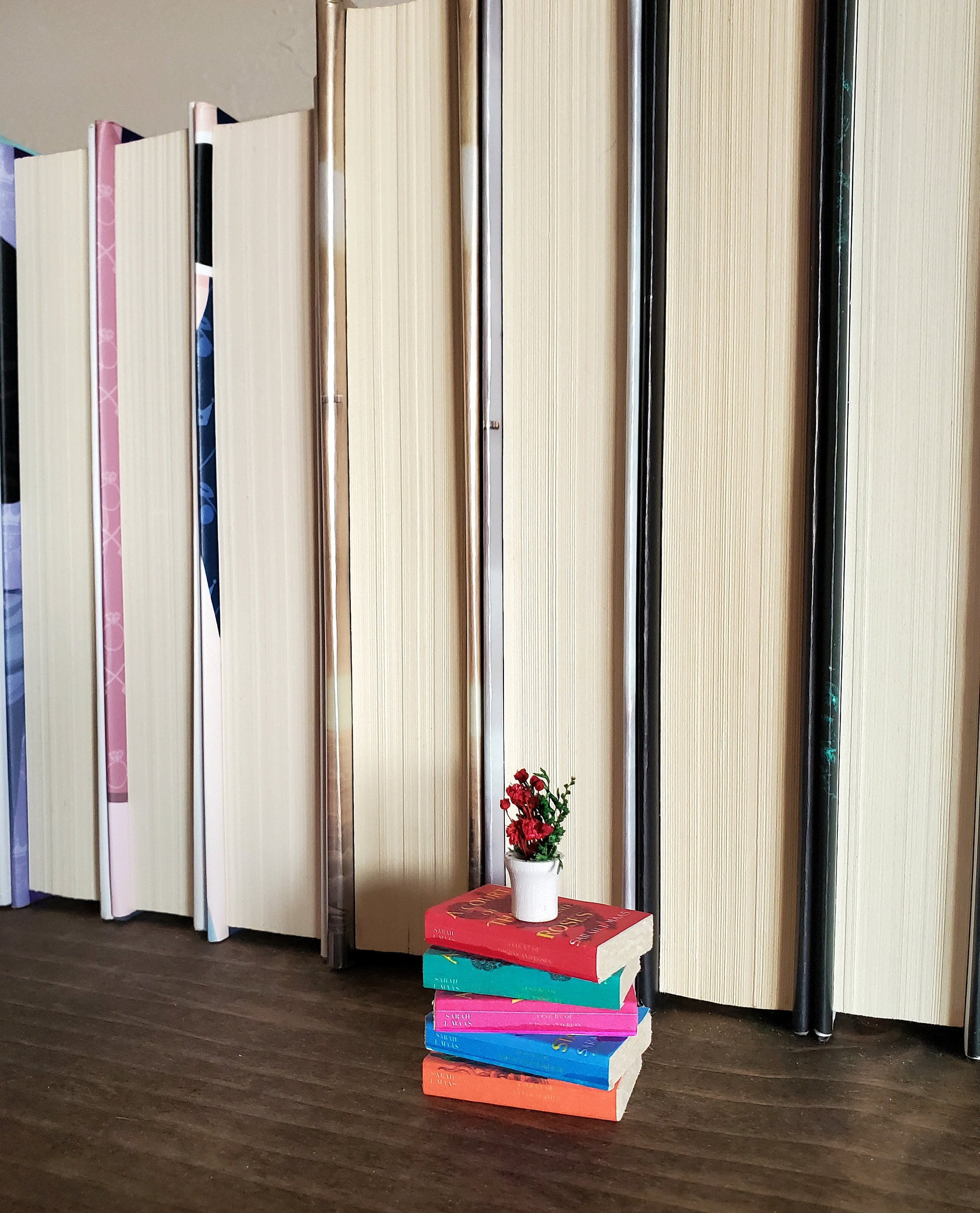 Mini ACOTAR Bookshelf Decor - Etsy