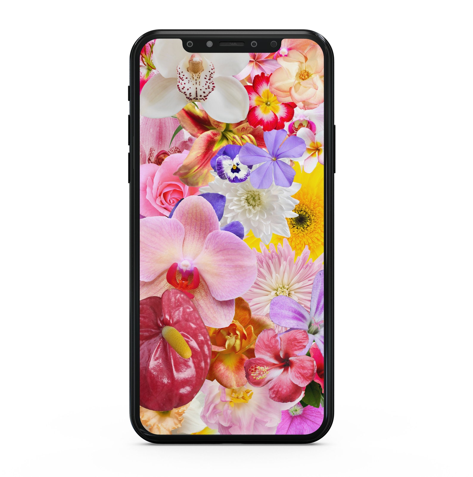 40 Flower PNG Files, Transparent Background Images, Flower Clipart, No ...