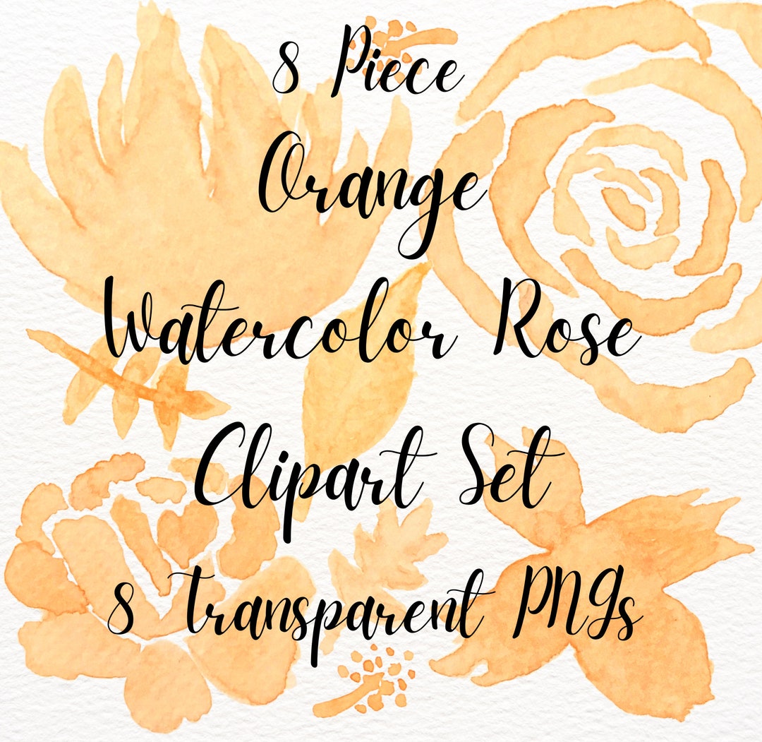 Hand-painted Watercolor Floral Clipart Transparent PNG Set and Pattern ...