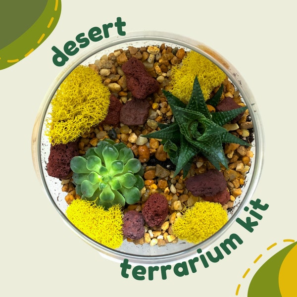 Desert Terrarium - Etsy