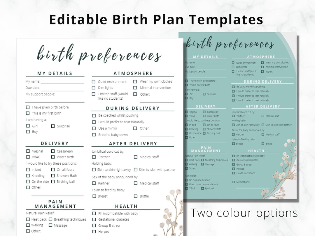 Birth Preferences Template, Birth Plan Editable, Labour Birth Chart ...