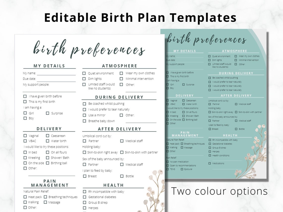 Birth Preferences Template, Birth Plan Editable, Labour Birth Chart ...
