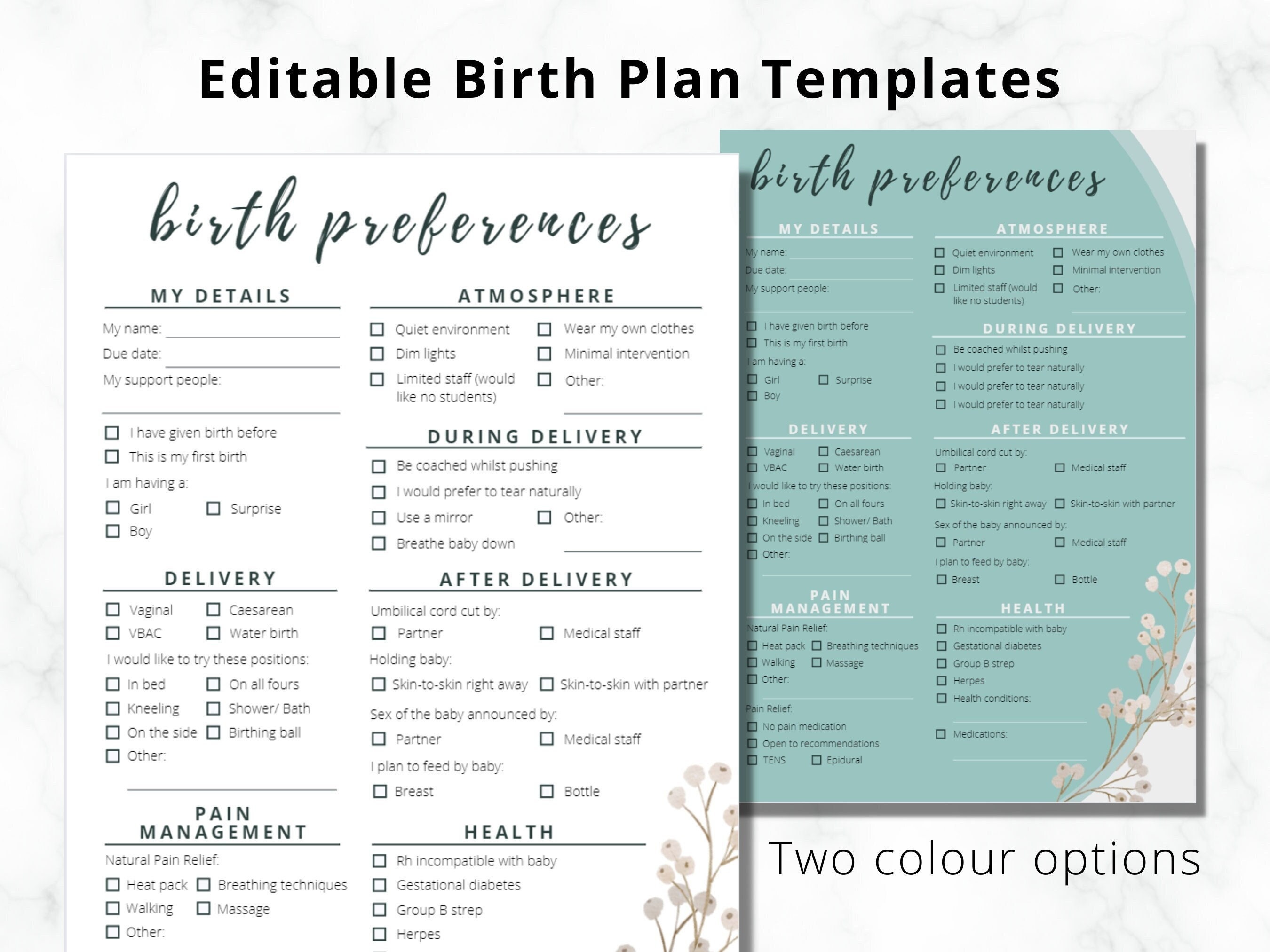Birth Preferences Template, Birth Plan Editable, Labour Birth Chart ...