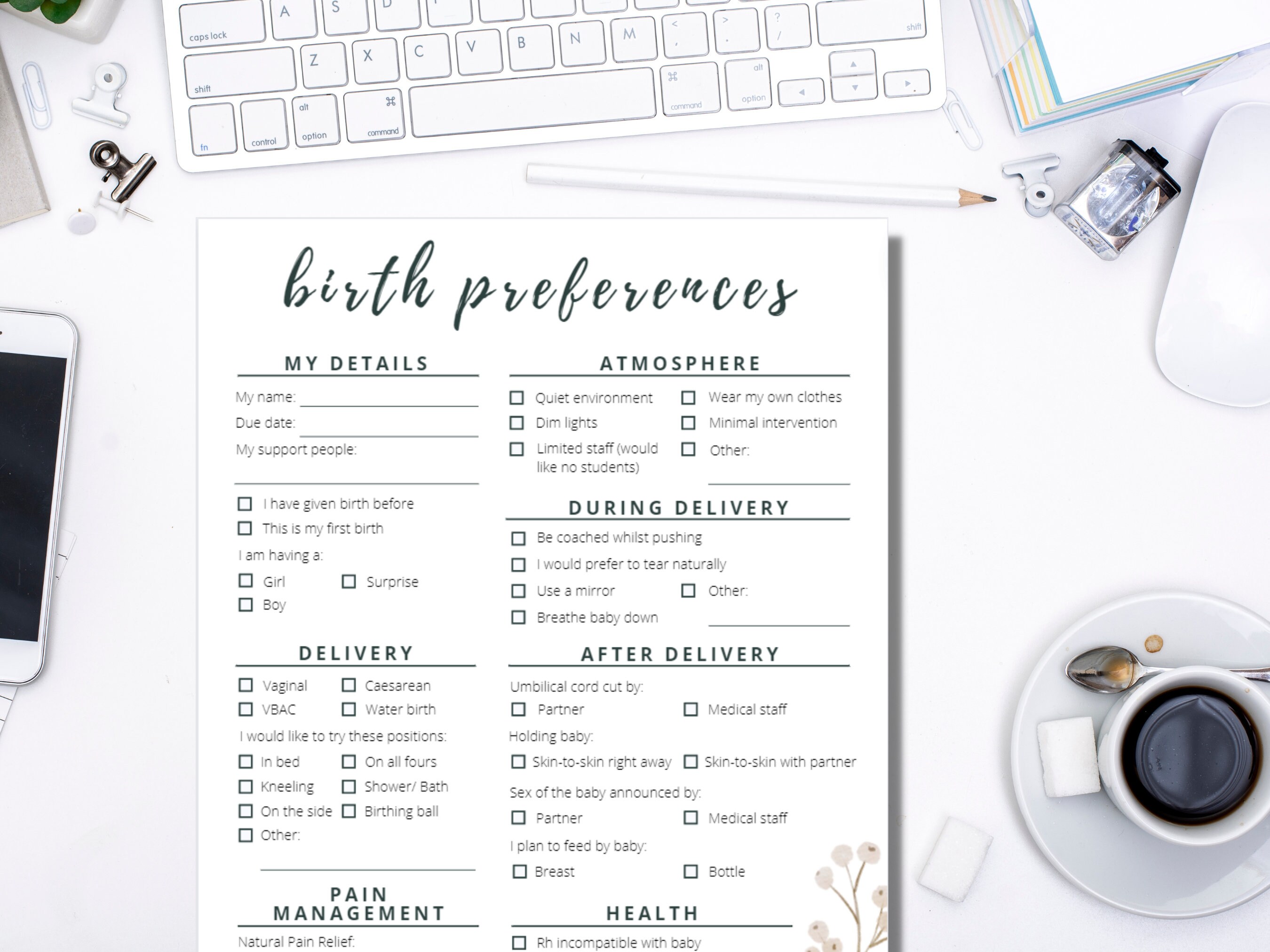 Birth Preferences Template, Birth Plan Editable, Labour Birth Chart ...