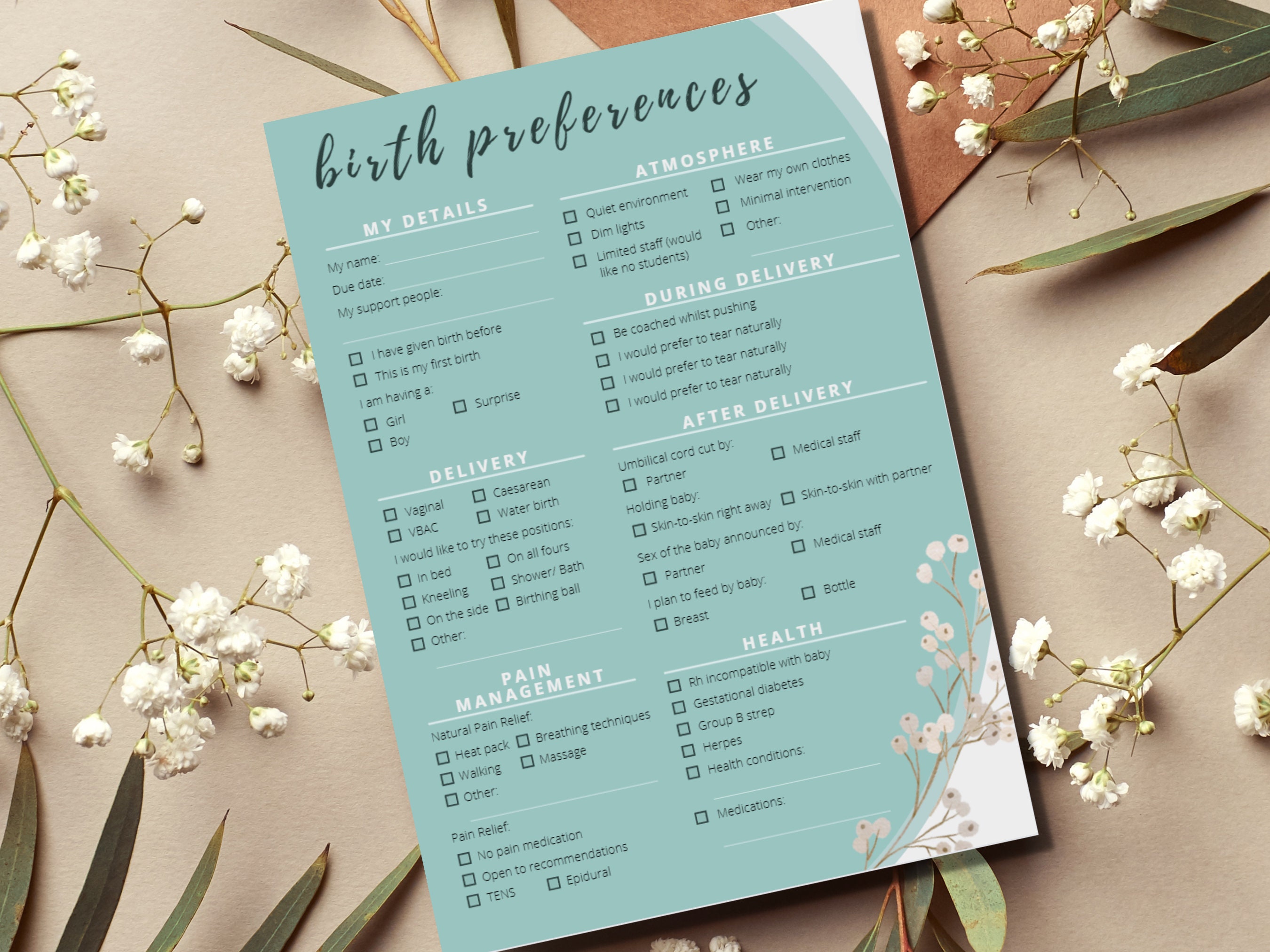 Birth Preferences Template, Birth Plan Editable, Labour Birth Chart ...