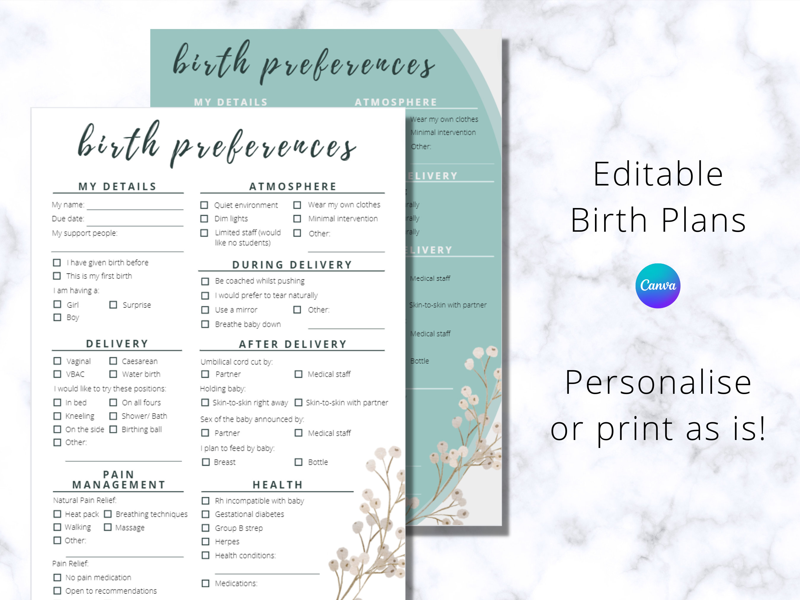Birth Preferences Template, Birth Plan Editable, Labour Birth Chart ...