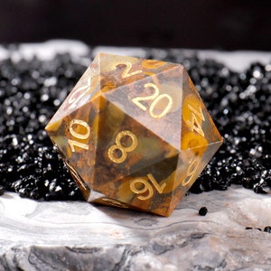 Insect Fossil Gemstone Dice Set RPG Role Playing Game Stone - Etsy