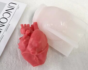 3d Human Heart Mold - Etsy