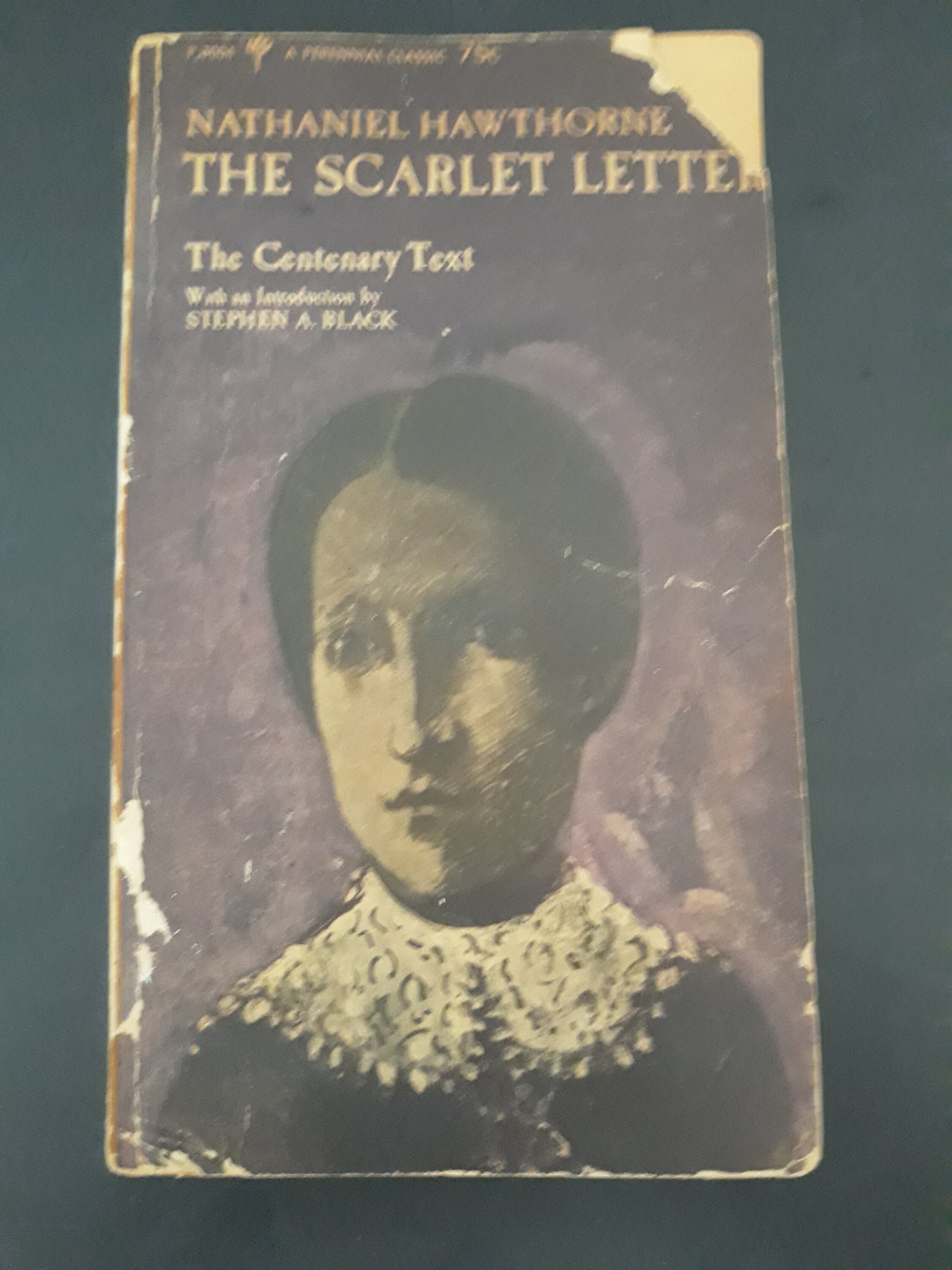 The Scarlet Letter by Nathaniel Hawthorn - Etsy