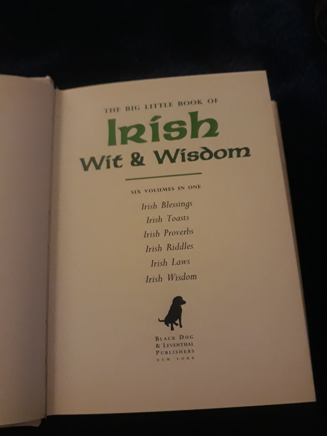 The Little Big Book of Irish Wit and Wisdom - Etsy