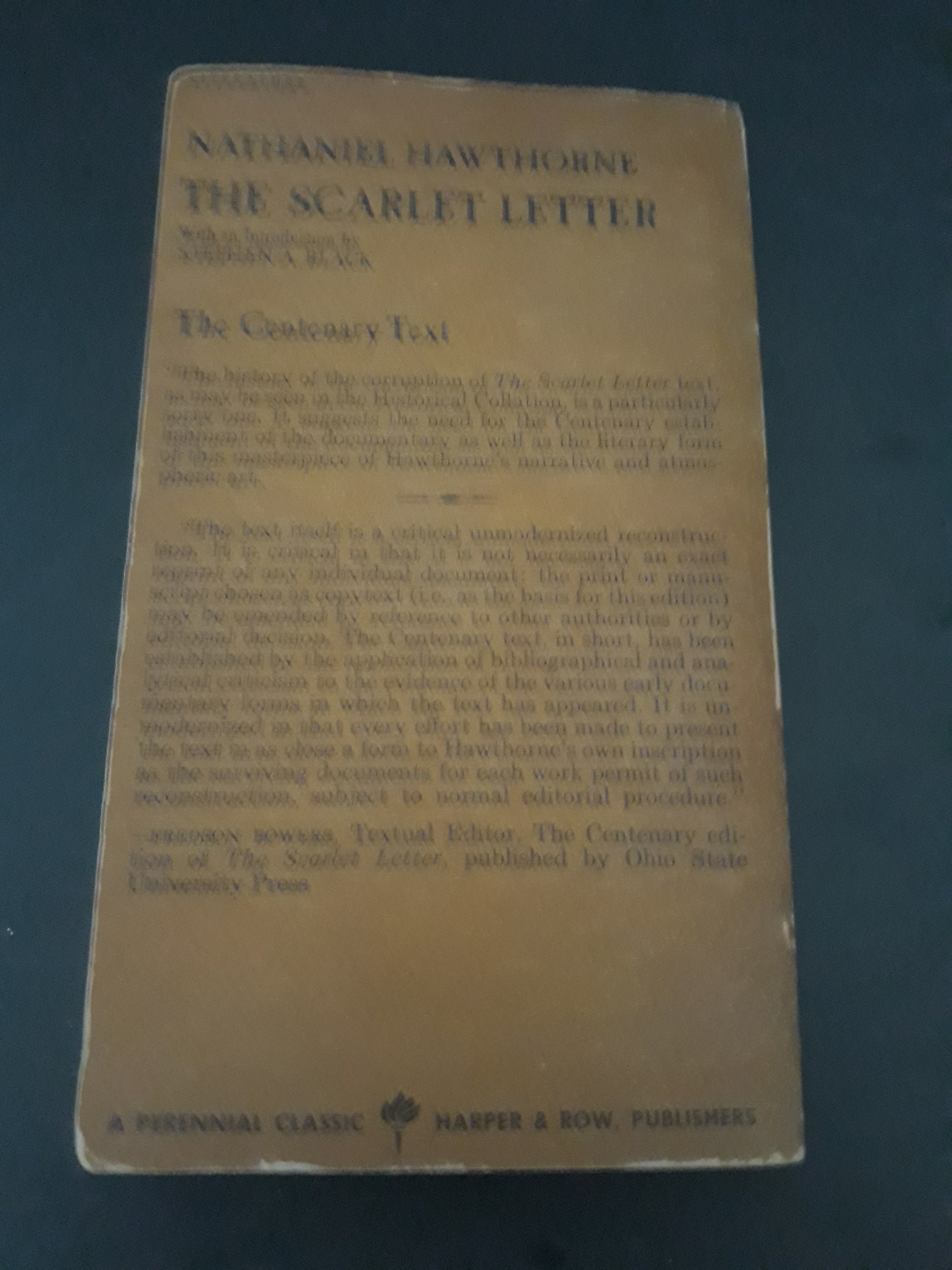 The Scarlet Letter by Nathaniel Hawthorn - Etsy